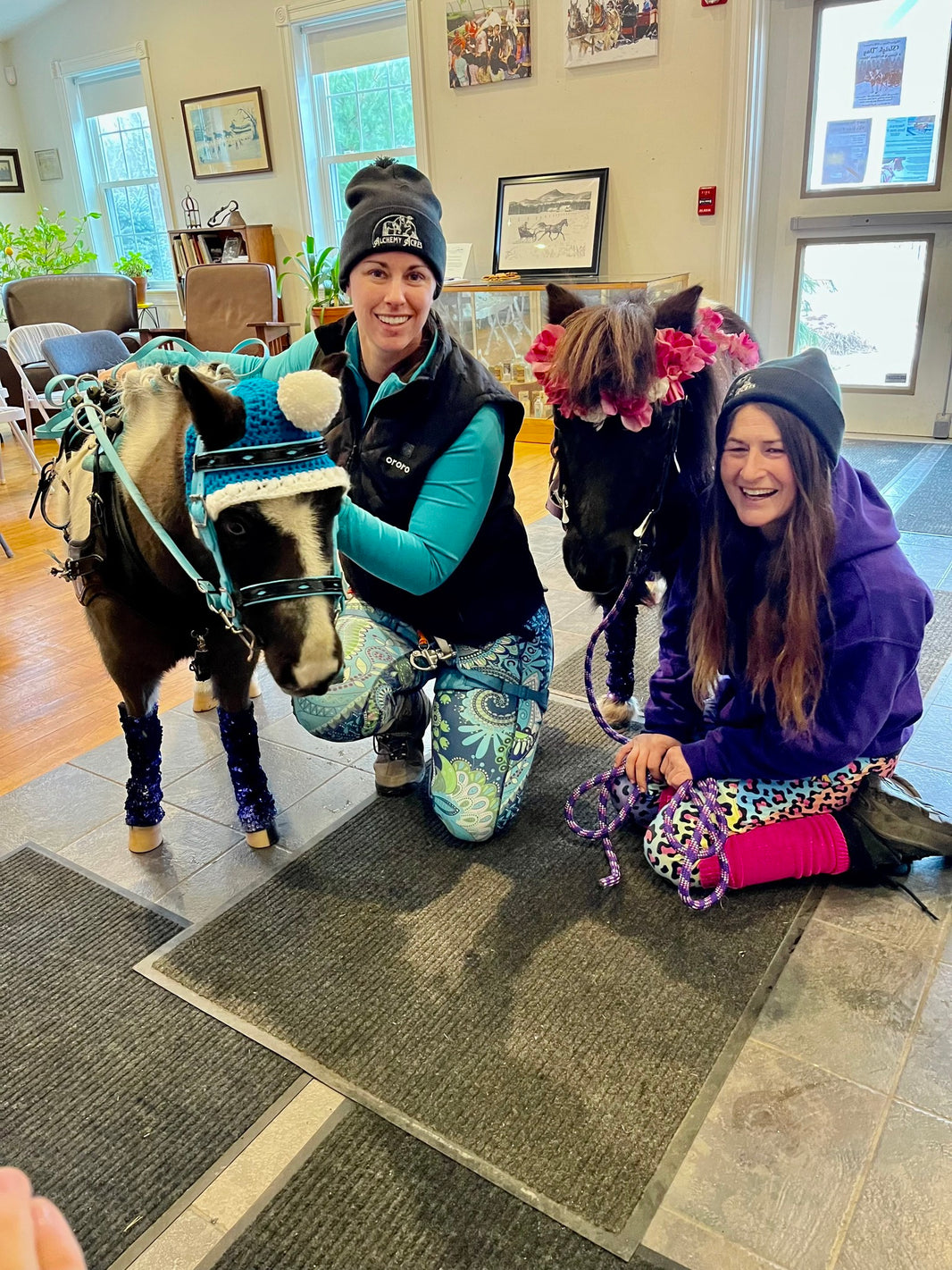 Mini Skijoring with Horses and Donkeys – Alchemy Acres
