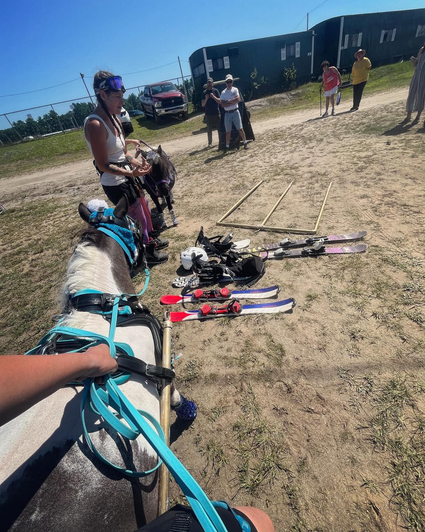 Mini Skijoring with Horses and Donkeys – Alchemy Acres